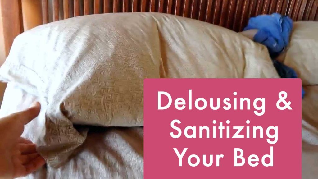 Delousing and Sanitizing Your Bed - Earther Academy