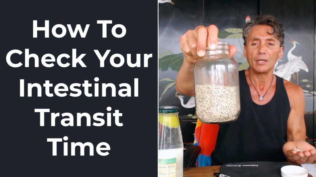 How To Check Your Intestinal Transit Time - Earther Academy