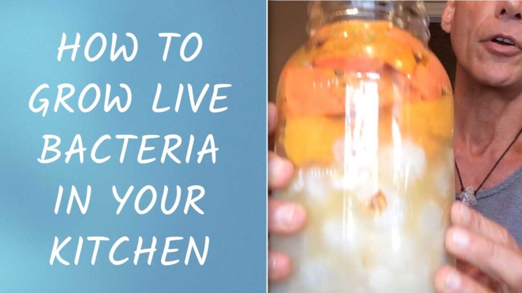 How To Grow Live Bacteria In Your Kitchen - Earther Academy