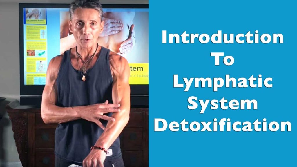 Introduction To Lymphatic System Detoxification - Earther Academy