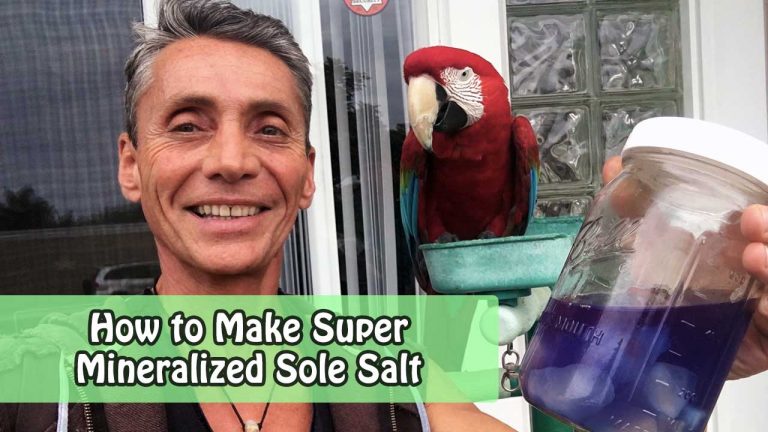 How To Make Super Mineralized Sole Salt - Earther Academy