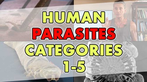 Human Parasites Categories 1-5 - Earther Academy