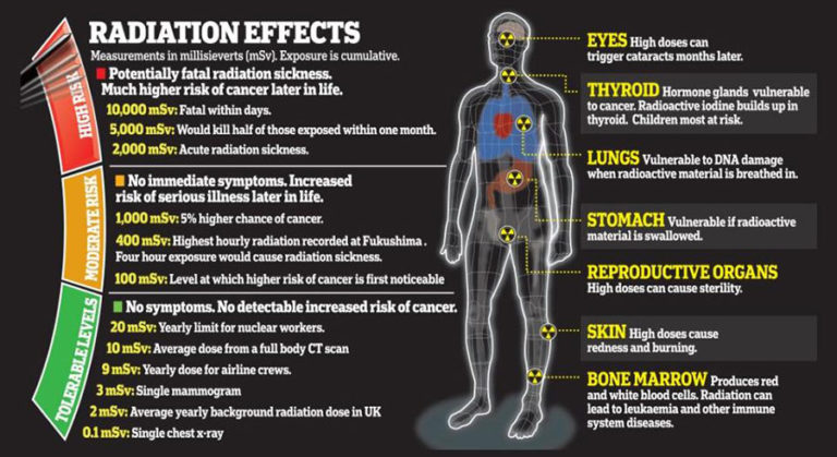 Fish And Ocean Radiation Testing In Hawaii - Earther Academy