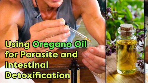 Using Oregano Oil For Parasite And Intestinal Detoxification - Earther ...
