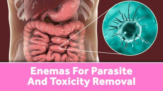 Enemas For Parasite And Toxicity Removal - Earther Academy