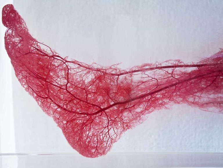 Soaking Your Hands And Feet With EDTA - Earther Academy