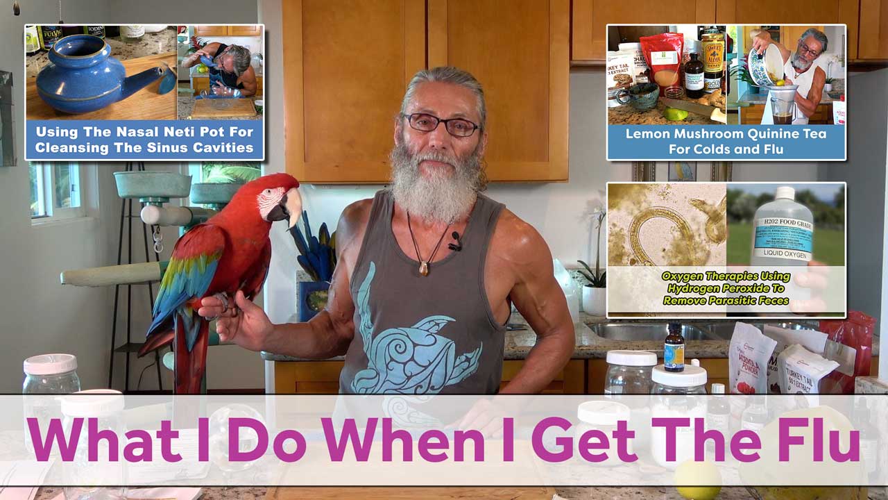 Earther Academy | Optimize & Enhance Our Health and Wellness